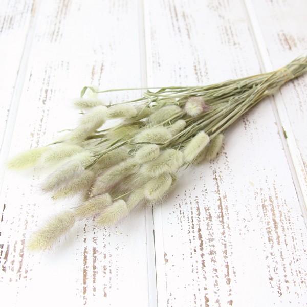 【商品サイズ】全長約40cm約20g【お伝えしたいこと】※穂の色が紫がかっている場合があります。※穂の大きさにばらつきがあります。(画像より短い場合があります)※ドライ加工した穂系の商品の特性上、穂が落ちやすくなっております。ご了承の上、お...