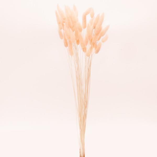 【商品仕様】全長約50cm約15g【お伝えしたいこと】※穂の大きさにばらつきがあります。(画像より短い場合があります)※ドライ加工した穂系の商品の特性上、穂が落ちやすくなっております。ご了承の上、お買い上げください。ヘアスプレーをかけていた...