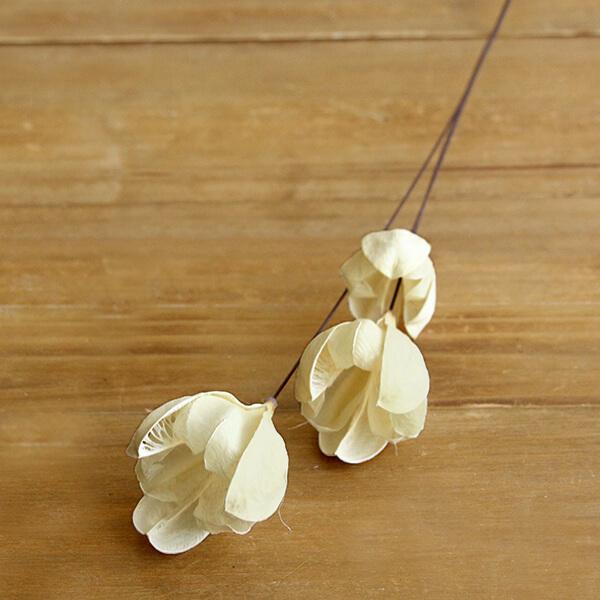 【商品仕様】1束(3本)全長:約40cm( allp5 )(10_dras)( 15_asoh )( hmfwr )( flwhite )( dbridl ) ドライフラワー ハンドメイドフラワー スワッグ ブーケ ドライフラワー花束 ドラ...