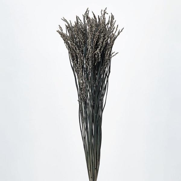 【商品仕様】全長約60cm/1束(約45-50本入)( allp5 )(10_dras)( 15_asoh )( 2026AW )( 40per )お正月や和のアレンジに大活躍の国産稲穂のドライフラワーです。シックなブラックはお正月らしいゴ...