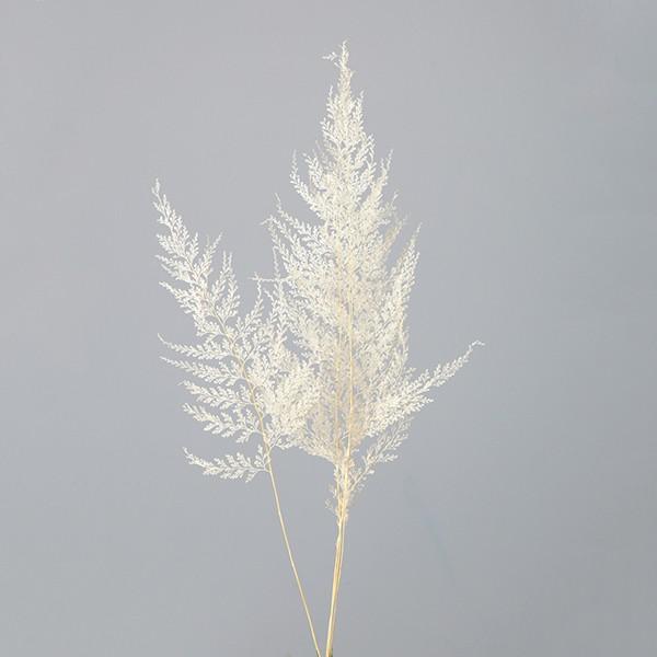 【商品サイズ】 全長約30-40cm 1束(約10枚) ※こちらはプリザーブド加工を施した商品です。( allp5 )(10_dras)( 15_asoh )( flwhite )( dbridl ) ドライフラワー プリザーブドフラワー ...
