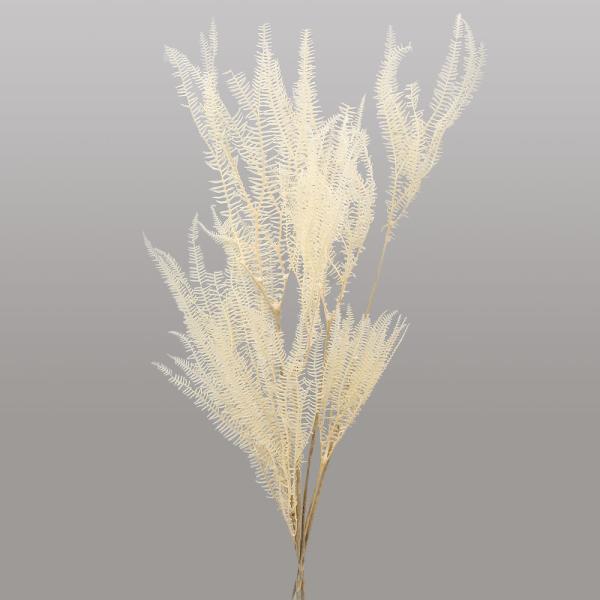 【商品仕様】全長約60cm1束(約25g)( 10_dras )( 15_asoh )( drygr )( allp5 )人気のシダの葉です。面白味のある葉の形でアレンジやブーケにアクセントを加えてくれます。小分けにカットするとコサージュや...