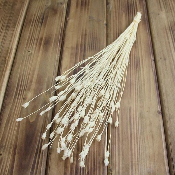 【商品サイズ】全長約50cm~60cm1束(約30g)※こちらは防虫加工商品です。( allp5 )(10_dras)( 15_asoh )お花のようなユニークな形が矢車菊のドライフラワーです。アレンジのアクセントに使える使いやすい素材です...