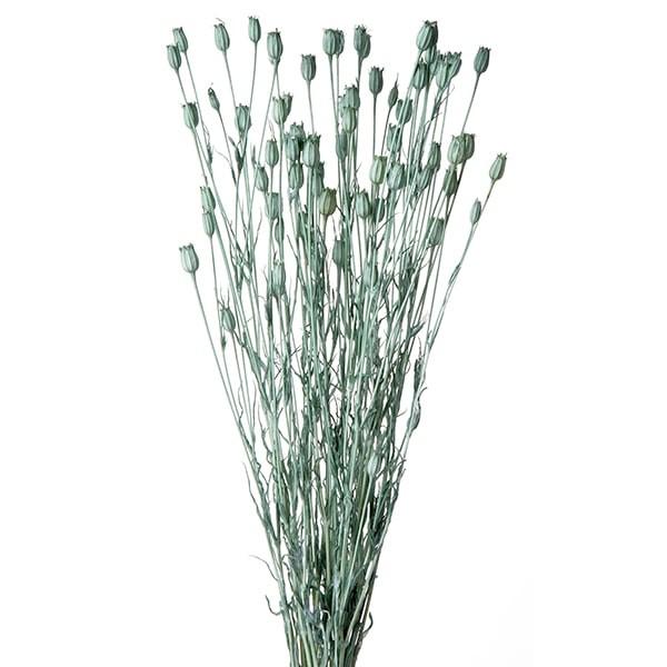 【商品サイズ】全長約50cm~60cm1束(約30g)※こちらは防虫加工商品です。( allp5 )(10_dras)( 15_asoh )キュートで独特なフォルムが大人気のフローレンティナのくすみカラーラインです。ブルーとは違ったニュアン...