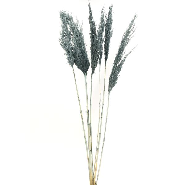 【商品仕様】全長約75cm1束(約5本)【お伝えしたいこと】※ドライ加工した商品の特性上、穂が落ちやすくなっております。ヘアスプレーや当店で取り扱っているネオ・ルシールを使っていただくと落ちやすさが軽減されますので、気になる場合はお試しくだ...