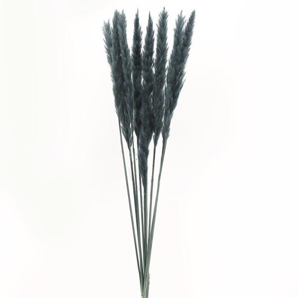 【商品仕様】全長約75cm1束(約10本)【お伝えしたいこと】※ドライ加工した商品の特性上、穂が落ちやすくなっております。ヘアスプレーや当店で取り扱っているネオ・ルシールを使っていただくと落ちやすさが軽減されますので、気になる場合はお試しく...