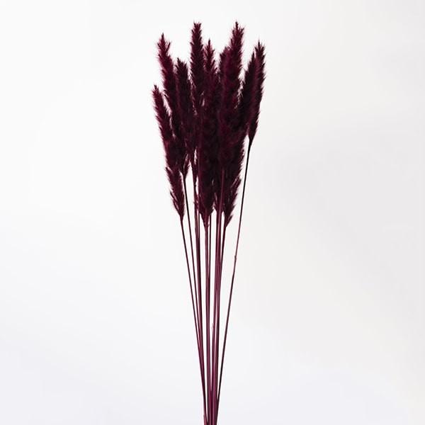 【商品仕様】1束(約12本)全長:約55cm穂の長さ:10~20cm【お伝えしたいこと】※ドライ加工した商品の特性上、穂が落ちやすくなっております。ヘアスプレーや当店で取り扱っているネオ・ルシールを使っていただくと落ちやすさが軽減されますの...