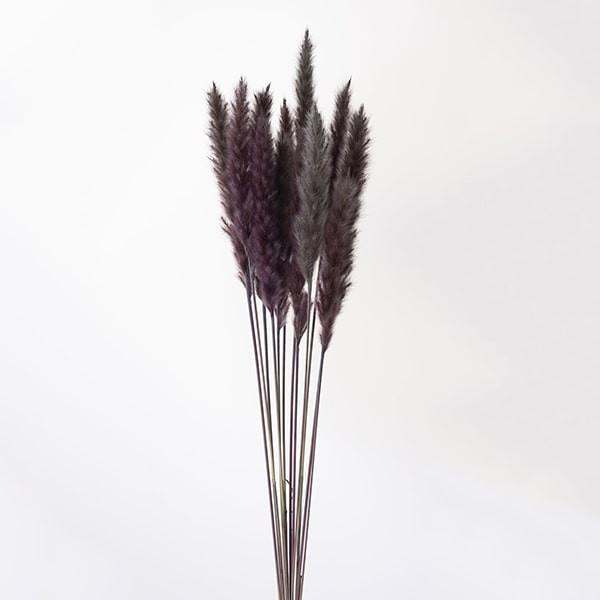 【商品仕様】1束(約12本)全長:約55cm穂の長さ:10~20cm【お伝えしたいこと】※ドライ加工した商品の特性上、穂が落ちやすくなっております。ヘアスプレーや当店で取り扱っているネオ・ルシールを使っていただくと落ちやすさが軽減されますの...