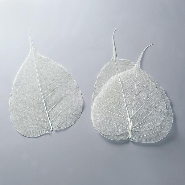 【商品サイズ】約10~15cm1袋約20枚※葉の表面に加工時の付着物が付いている場合があります。気になる場合はマスキングテープ等粘着力の弱いテープでやさしく取り除いてご使用ください。また、繊細な商品のため破れ、折れ、先が欠けているものが含ま...