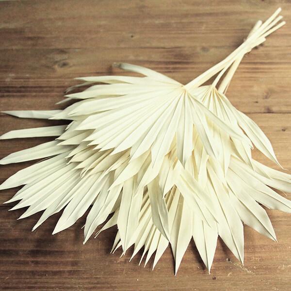 【商品仕様】1束(5枚)全長:30~45cm 葉サイズ:幅約17~37cm×高さ約12~18cm※1枚1枚の葉のサイズに個体差が激しい商品です※葉に切れ目や穴が開いているもの、黒点が含まれるものがございます自然素材の特性としてご了承のうえ、...