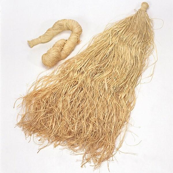 【商品サイズ】全長約140~160cm1袋(約700g~1kg・約400~500本)(10_dras)( 15_asoh )( allp5 )マダガスカル島産のウラジロラフィアの葉の繊維です。たくさん使える業務用大束です。( natrgr ...