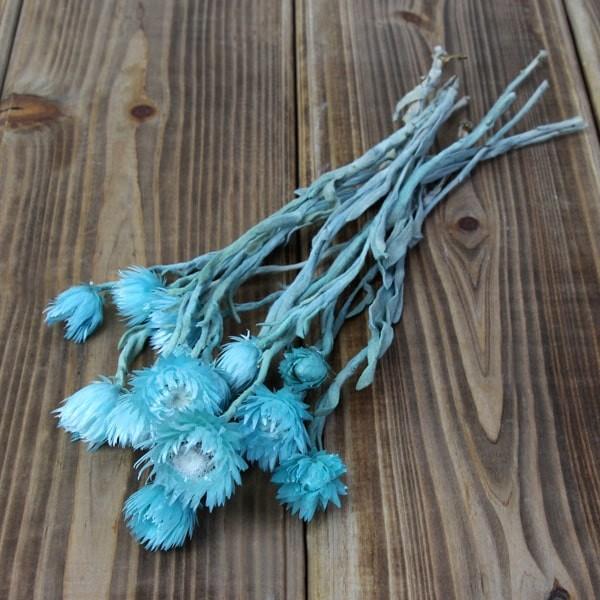 【商品サイズ】全長約25cm約10輪( allp5 )(10_dras)華やかで表情豊かなお花は、ハーバリウム、アレンジやブーケ、ワックスサシェなど様々なシーンで活躍する大人気商品です!!特にハーバリウムでは欠かせない花材です!一輪いれるだ...