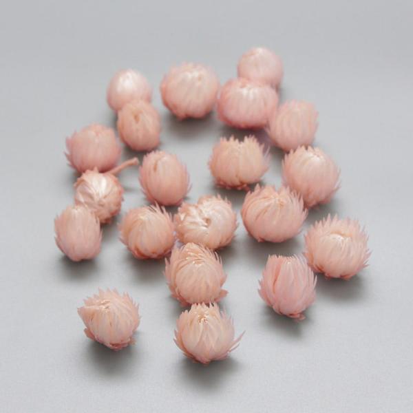 【商品仕様】約20輪入り( allp5 )(10_dras)( redpk ) シルバーデージー 花材 素材 材料 パーツ ドライフラワー スワッグ ブーケ ドライフラワー花束 ドライフラワースワッグ リース アレンジ アレンジメント ナチ...