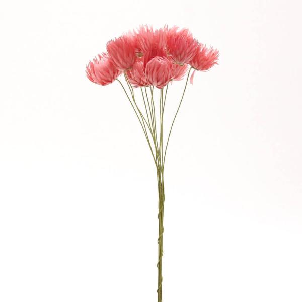 【商品仕様】1束(10~12本)全長約20~25cm( allp5 )(10_dras)人気のシルバーデイジ―にワイヤー付きタイプが登場しました。お花のサイズが比較的均一でアレンジやブーケなどににすぐ使える花材です!( redpk ) 花材...