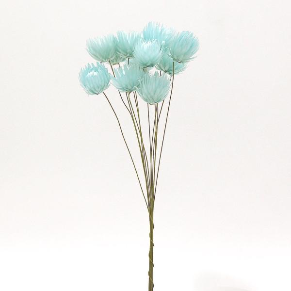 【商品仕様】1束(10~12本)全長約20~25cm( allp5 )(10_dras)人気のシルバーデイジ―にワイヤー付きタイプが登場しました。お花のサイズが比較的均一でアレンジやブーケなどににすぐ使える花材です!( bluepp ) 花...