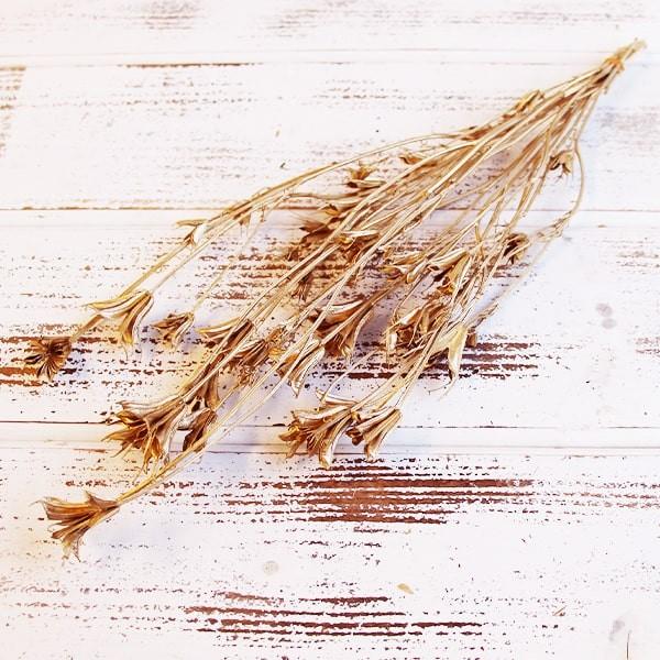 【商品サイズ】全長約50cm(1本あたりの全長20~50cm程度)約30g( allp5 )(10_dras)ユニークな花姿で人気のニゲラオリエンタリスの珍しいゴールドです。クリスマスやお正月アレンジにピッタリな華やかカラー。( gldsl...