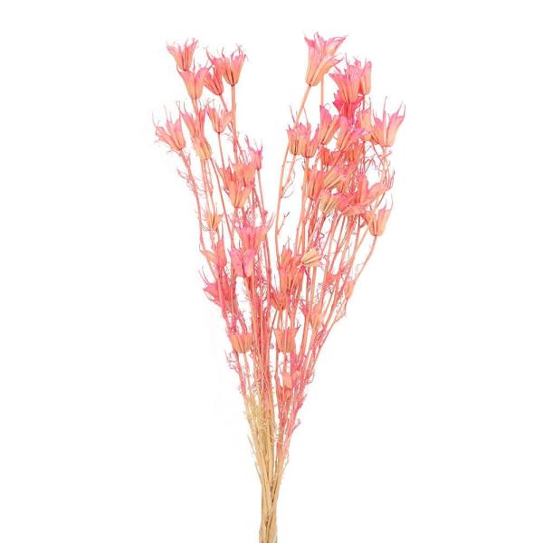 【商品仕様】全長約40cm約25g( allp5 )(10_dras)人気のニゲラのインパクトのあるピンク。アレンジに彩りを添えてくれます。( redpk ) 花材 素材 材料 パーツ スワッグ ブーケ ドライフラワー花束 ドライフラワース...