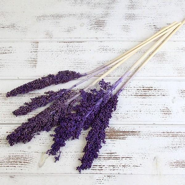 【商品仕様】全長 約40~75cm【お伝えしたいこと】茎の長さに個体差が激しい商品です。基本的に実のボリューム感が均一になるようパッケージされております。ご了承の上お買い上げください。( allp5 )(10_dras)( dryear )...