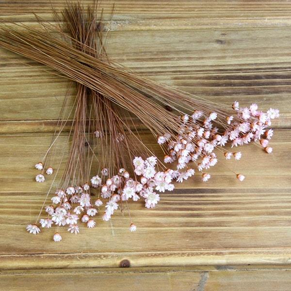 【商品サイズ】全長:約30~40cm花径:約0.5~2cm約10g【お伝えしたいこと】※花のサイズに個体差があったり、一部に折れている花や、取れている花が含まれる場合がございます。※植物の特性上、ステム部分に原料由来のワタ状のものが付着して...