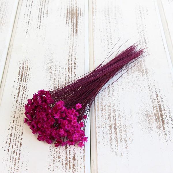 【商品サイズ】全長約25cm/花径約0.5~1cm約20g入り【お伝えしたいこと】※花のサイズに個体差があったり、一部に折れている花や、取れている花が含まれる場合がございます。※植物の特性上、ステム部分に原料由来のワタ状のものが付着している...