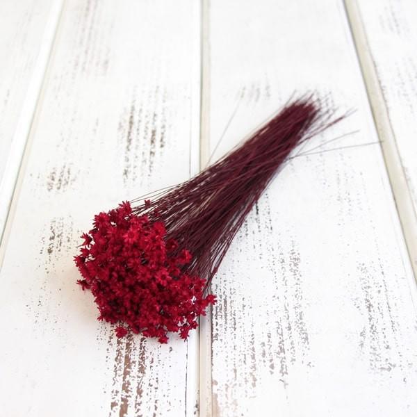 【商品サイズ】全長約25cm/花径約0.5~1cm約20g入り【お伝えしたいこと】※花のサイズに個体差があったり、一部に折れている花や、取れている花が含まれる場合がございます。※植物の特性上、ステム部分に原料由来のワタ状のものが付着している...
