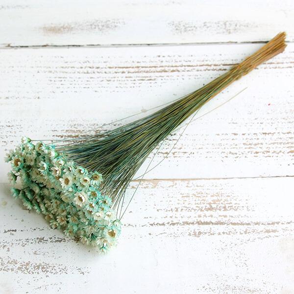 【商品サイズ】全長 約25cm花径 約0.5~1cm【お伝えしたいこと】※一部に折れている花や、取れている花が含まれる場合がございます。※1束中の花径に個体差がございます。※植物の特性上、ステム部分に原料由来のワタ状のものが付着している場合...