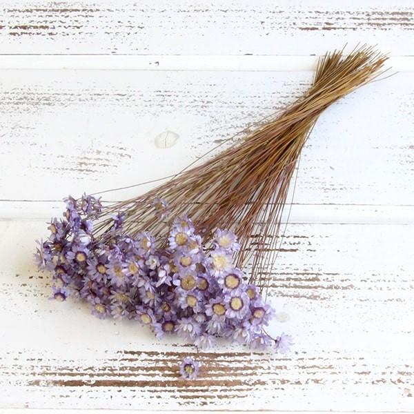 【商品サイズ】全長:約30cm花径:約0.5~2cm約10g【お伝えしたいこと】※花のサイズに個体差があったり、一部に折れている花や、取れている花が含まれる場合がございます。※植物の特性上、ステム部分に原料由来のワタ状のものが付着している場...