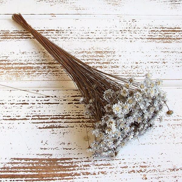 【商品サイズ】全長約25~35cm花径約0.5-1cm【お伝えしたいこと】※一部に折れている花や、取れている花が含まれる場合がございます。※1束中の花径に個体差がございます。※植物の特性上、ステム部分に原料由来のワタ状のものが付着している場...