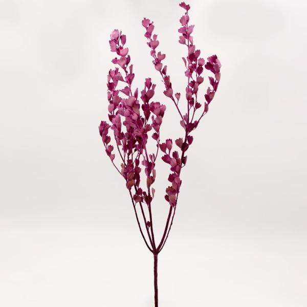 【商品仕様】全長約40~60cm1~2本入り( allp5 )(10_dras)まるで桜の花びらのような形の小さな葉が可愛らしい花材です。インパクト抜群のダークピンクです。( redpk ) 花材 素材 材料 パーツ アレンジメント ナチュ...
