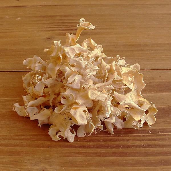 【商品仕様】全長約1.5-4.5cm1袋約15g【お伝えしたいこと】※木の実は自然素材の性質上、割れや欠け・潰れが含まれる場合があります。( allp5 )(10_dras)形が面白い商品です。ハーバリウムやアレンジ、リースにも。( flw...