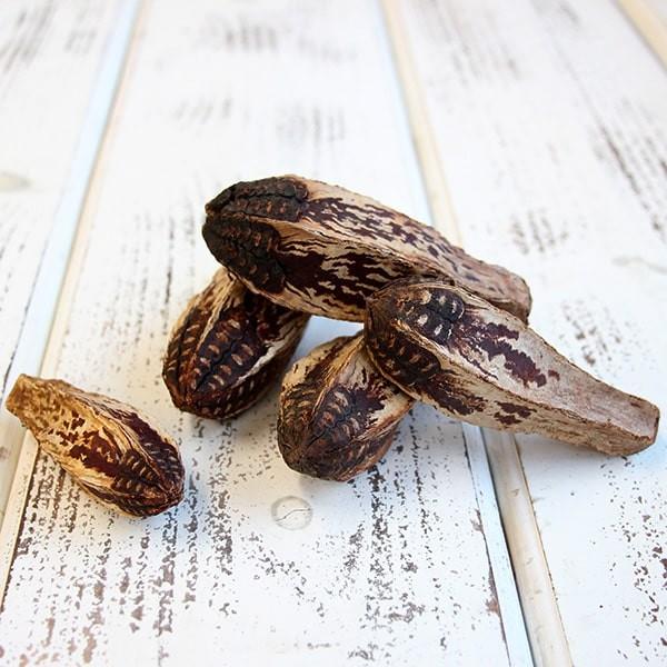 【商品仕様】実径:約2~4cm実高さ:約7~12cm5個入り【お伝えしたいこと】※木の実は自然素材の性質上、割れや欠け・潰れが含まれる場合があります。( allp5 )(10_dras)家具材としておなじみのマホガニーの実のドライです。木彫...