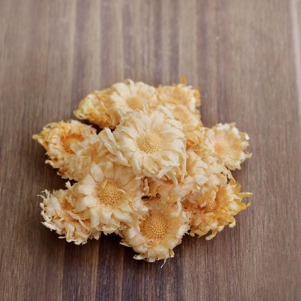 【商品サイズ】花径約2~4cm15コ入り( allp5 )(10_dras)モダンなワイルドフラワー花材としておなじみのコンパクターのとってもかわいいミニサイズのヘッドです。リースやハーバリウム、アロマワックスサシェ、レジン封入にもオススメ...