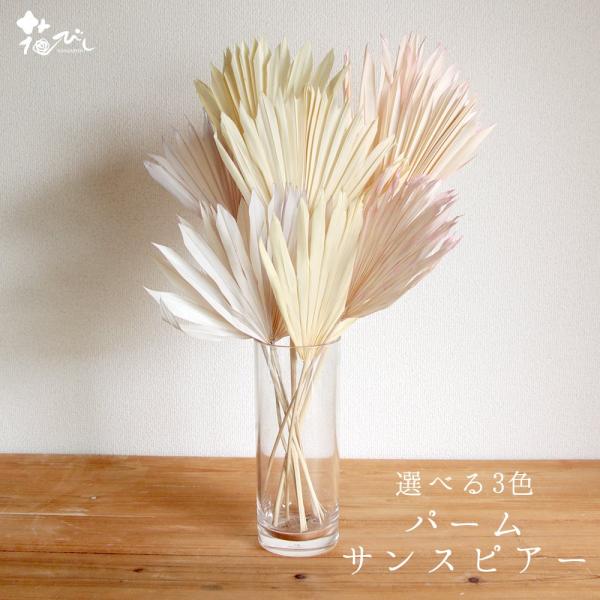 【商品仕様】全長:約50~60cm葉サイズ幅:約12~20cm高さ:約12~20cm【お伝えしたいこと】※自然素材のため、形やサイズの個体差が激しい商品です。( 10_dras )( intrdry )( allp5 )ディスプレイやアレン...