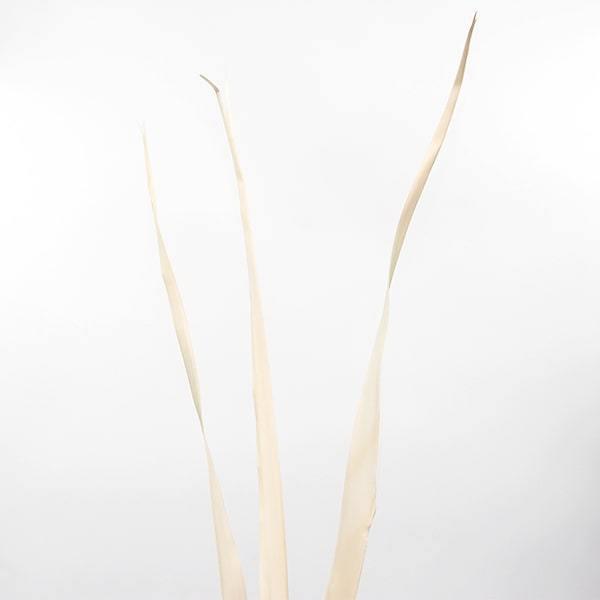 【商品仕様】全長約100~110cm約3本( allp5 )(10_dras)お部屋のインテリアとして簡単に投げ入れるだけでも様になる花材です。シンプルでなだらかなフォルムの曲線が印象的!( flwhite )( dbridl )( mdr...