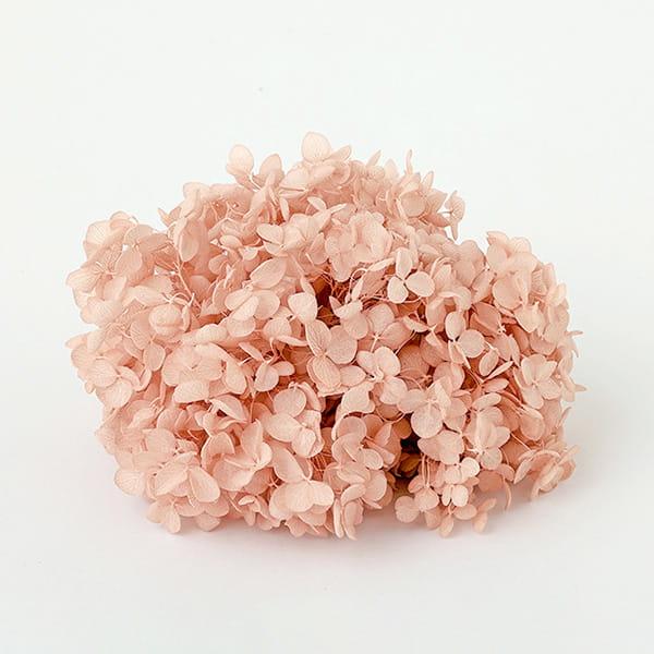 【商品仕様】約2.5輪入り【お伝えしたいこと】　※プリザーブドフラワーとは※生花に柔らかい質感を保つよう特殊加工を施したものです。プリザーブドフラワーは染料が染み出す場合があります。ご使用時も色移りにご注意ください。自然素材の特性のため、色...