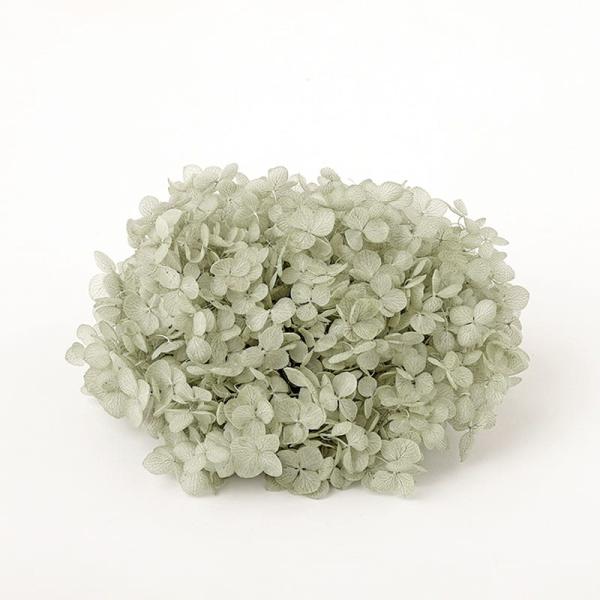 【商品仕様】約2.5輪入り【お伝えしたいこと】　※プリザーブドフラワーとは※生花に柔らかい質感を保つよう特殊加工を施したものです。プリザーブドフラワーは染料が染み出す場合があります。ご使用時も色移りにご注意ください。自然素材の特性のため、色...