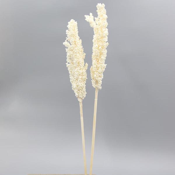 【商品仕様】全長約50~80cm2本(1束)【お伝えしたいこと】※穂のボリューム差がかなり大きい場合があります。( allp5 )(10_dras)( dryear )つぶつぶの実がたくさんついた大人気のインディアンコーン(別名ソルゴ)。ス...