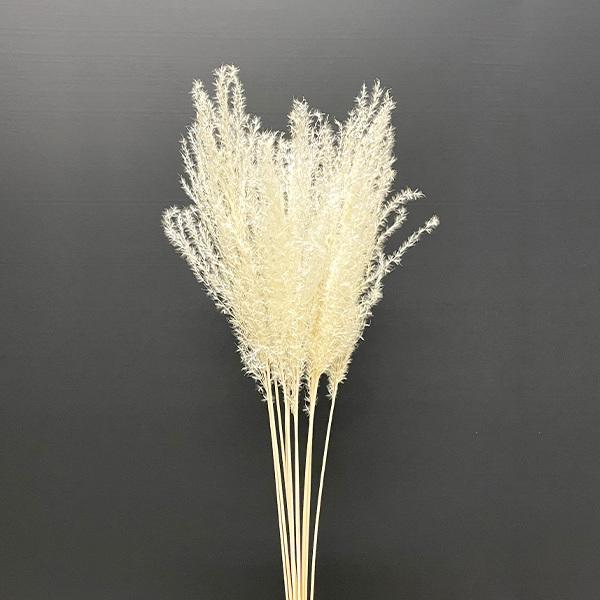 【商品仕様】全長約70cm10本【お伝えしたいこと】※ドライ加工した商品の特性上、多少穂が落ちやすくなっております。ヘアスプレーや当店で取り扱っているネオ・ルシールを使っていただくと落ちやすさが軽減されますので、気になる場合はお試しください...