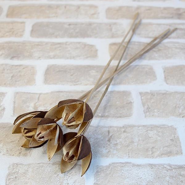 【商品サイズ】全長約40cm4本/束( allp5 )(10_dras)スワッグのアクセントにオススメ!ワイルドリリーのステム付きドライフラワーです。( natrgr ) ハンドメイドフラワー ドライフラワー スワッグ ブーケ ドライフラワ...