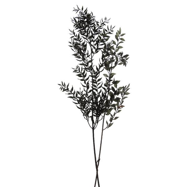 【商品仕様】全長 約50~70cm内容量 約25g( allp5 )(10_dras)人気グリーンのラスカスがオシャレモダンなブラックに染まりました。。スワッグや、カットしてハーバリウム、アロマワックスサシェにもオススメです。( bkgry...