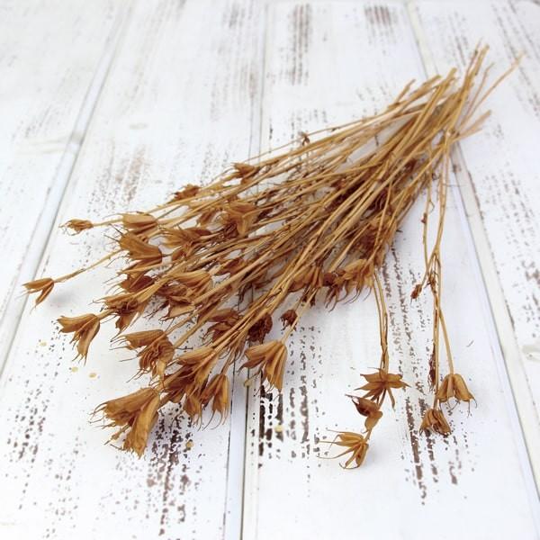 【商品サイズ】全長約30~40cm約20g( allp5 )(10_dras)( brwnbeig )( dbridl ) ドライフラワー スワッグ ブーケ ドライフラワー花束 ドライフラワースワッグ リース アレンジ 花材 素材 材料 パ...