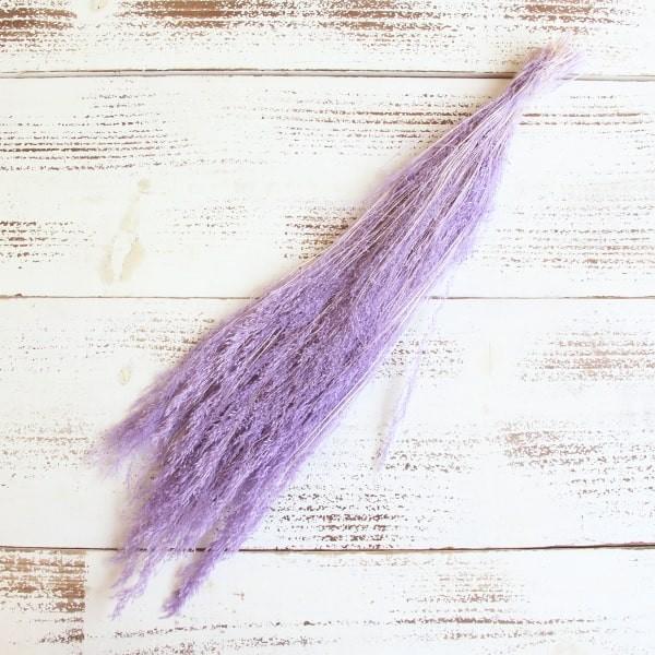 【商品サイズ】全長約40cm約10g/束( Agrostis )( allp5 )(10_dras)細かな花粒が特徴のふわっとしたプリザーブド小花。軽やかでふんわりとやさしい雰囲気をつくってくれます。ハーバリウムにもおすすめです。自然素材を...