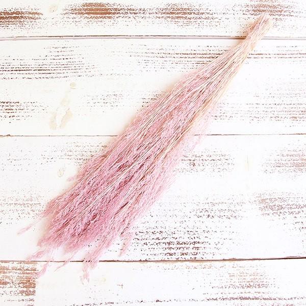【商品サイズ】全長約40cm約10g/束( Agrostis )( allp5 )(10_dras)細かな花粒が特徴のふわっとしたプリザーブド小花。軽やかでふんわりとやさしい雰囲気をつくってくれます。ハーバリウムにもおすすめです。自然素材を...