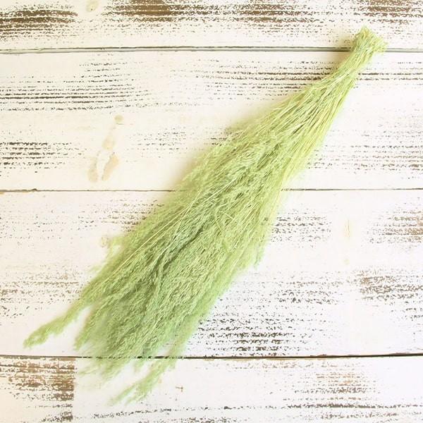 【商品サイズ】全長約40cm約10g/束( Agrostis )( allp5 )(10_dras)細かな花粒が特徴のふわっとしたプリザーブド小花。軽やかでふんわりとやさしい雰囲気をつくってくれます。ハーバリウムにもおすすめです。自然素材を...