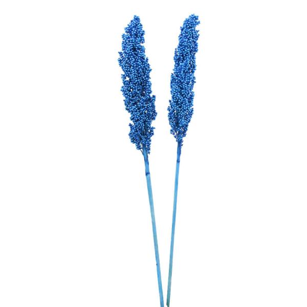 【商品仕様】全長約50~80cm2本(1束)【お伝えしたいこと】※穂のボリュームや全長の差がかなり大きい場合があります。( allp5 )(10_dras)( dryear )つぶつぶの実がたくさんついた大人気のインディアンコーン(別名ソル...