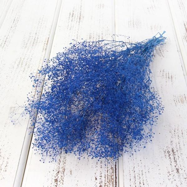 【商品サイズ】全長約40cm約22g/束( allp5 )(10_dras)ミニカスミの濃いブルーが復活!色名が”海”となって再登場です。ハーバリウム、アロマワックスサシェ、レジン封入にもオススメの花材です。( bluepp )( dbri...
