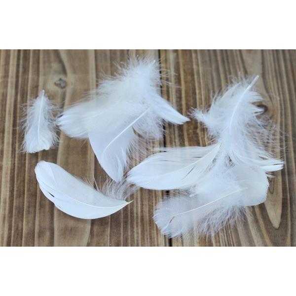 【商品サイズ】約12枚入り全長約7~9cm幅約3~4cm( allp5 )(10_dras)ディスプレイやアレンジに使えます。ブライダルにもおすすめ。( flwhite ) 資材 羽 羽根 小分け 少量 リース アレンジ 花材 素材 材料 ...