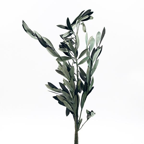 【商品仕様】内容量50g全長約50cm前後【お伝えしたいこと】※染料が切り口や表面から漏れて、壁面や衣服などに染み込むことがございますのでご注意ください。※自然の素材を加工しているため、長期保存される場合は防虫剤のご使用をおすすめします。(...