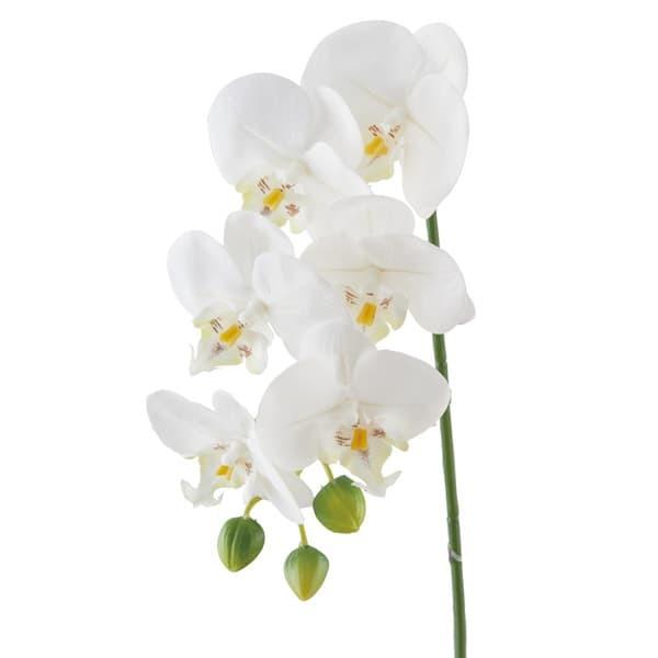 【商品仕様】(素材)全長67cm花径7~8cm(ポリエステル・ポリエチレン・ワイヤー)( allp5 ) インテリア インテリアフラワー フェイクフラワー シルクフラワー インテリアグリーン フェイクグリーン アートフラワー イミテーション...