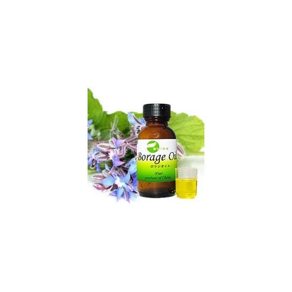 ■　学名：Borago officinalis■　抽出法：低温圧搾■　原産国：中国■　色：淡黄色■　香り：少し甘味のある特有の香り　　　　　 　　　　　　　　　　　 ボラージ草の種子を圧搾して抽出されたオイルです必須脂肪酸であるγ‐リノレン...